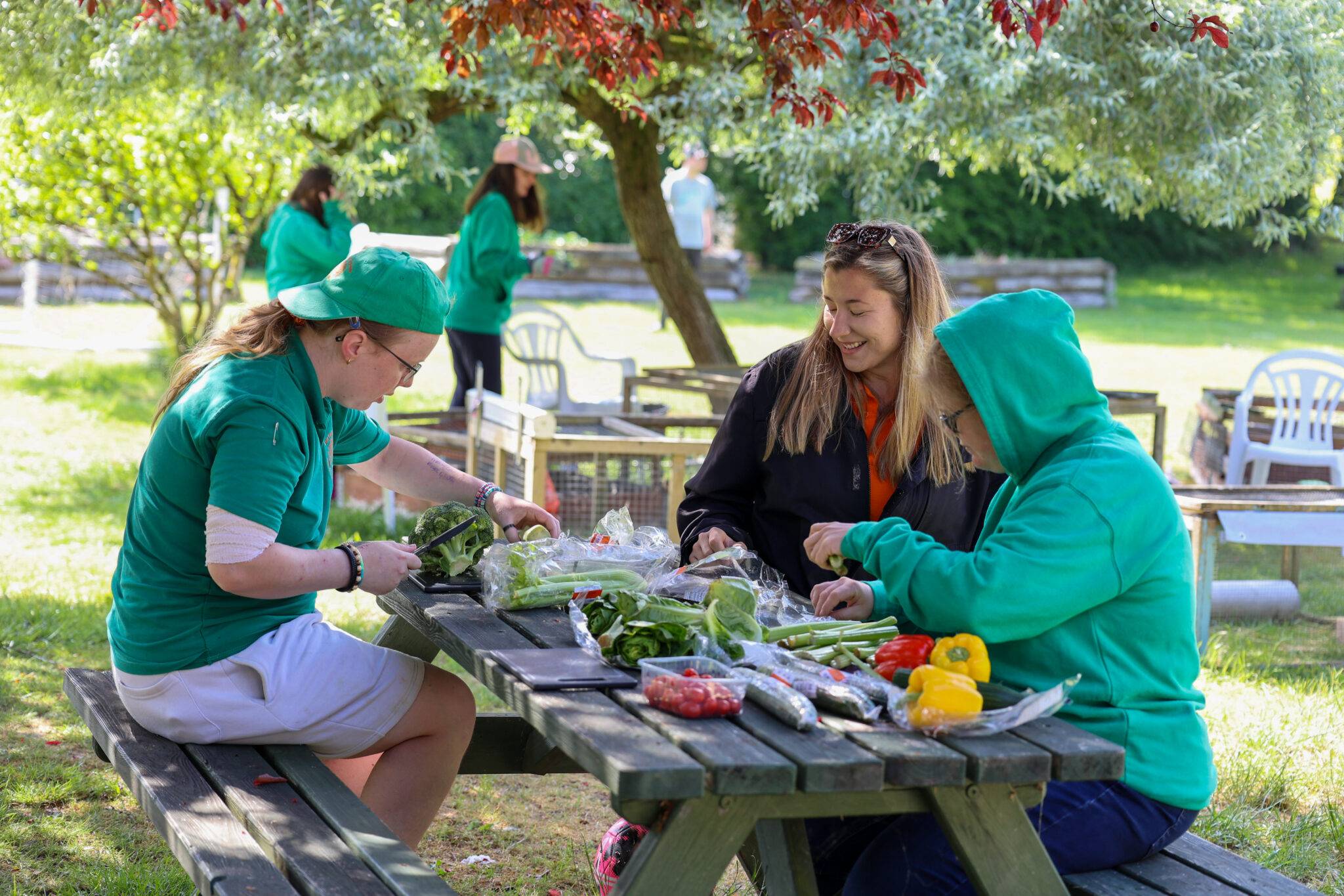 Able Hands Together: Community Farm & Support Program