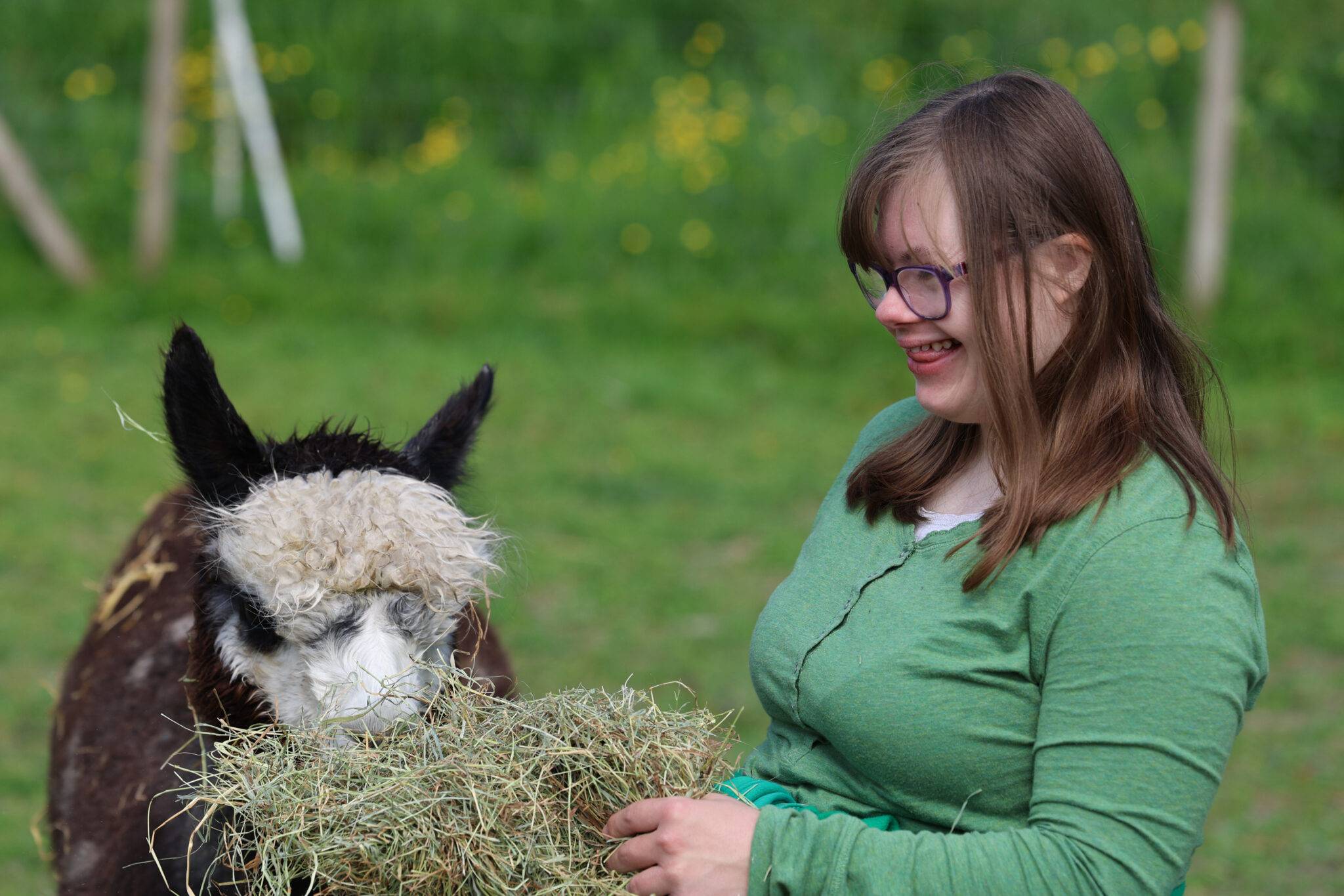 Co-Farmers Program – Able Hands Together: Community Farm & Support Program